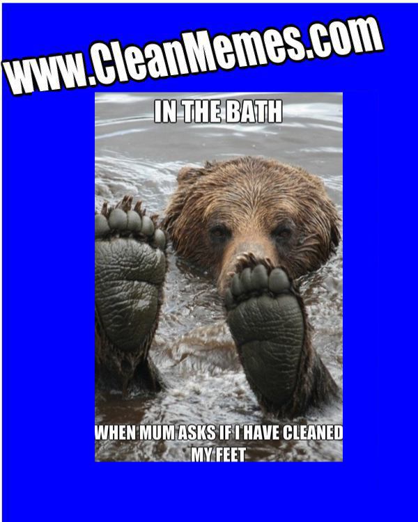 Fox Memes – Clean Memes