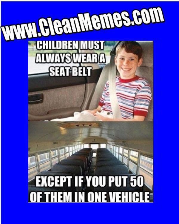 Cat meme drop 2-9-24 – Clean Memes