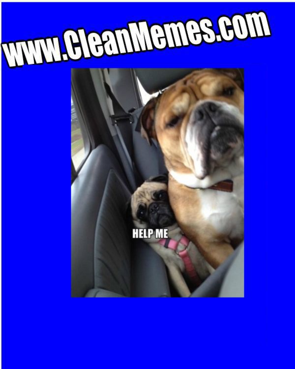 Fish Memes – Clean Memes