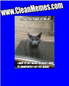 Cat Memes – Page 12 – Clean Memes