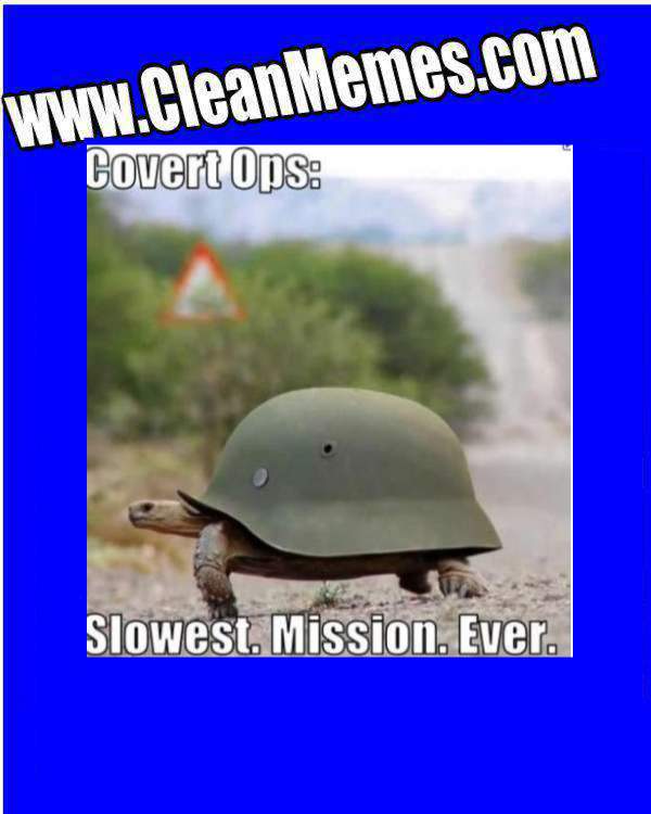 Rabbit Memes – Clean Memes