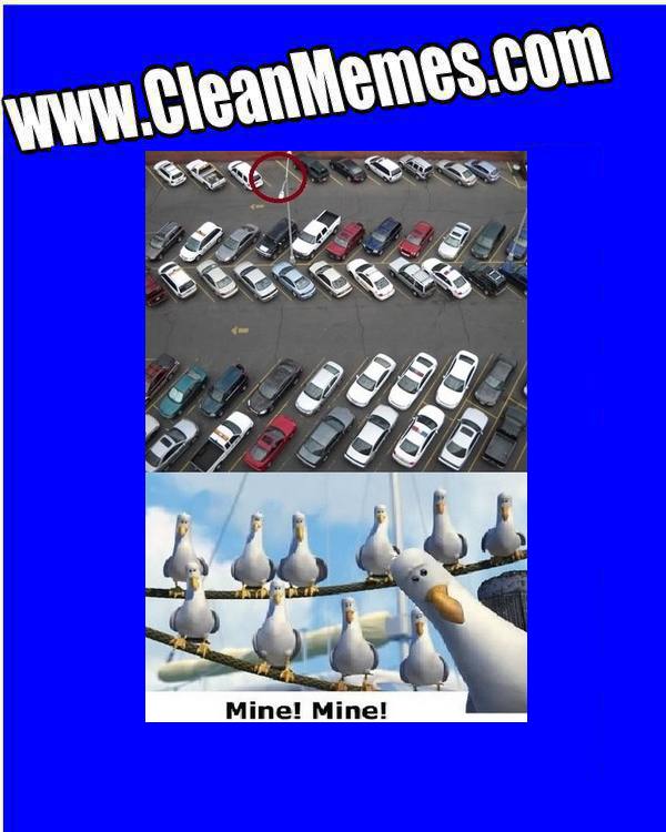 Squid Memes Clean Memes