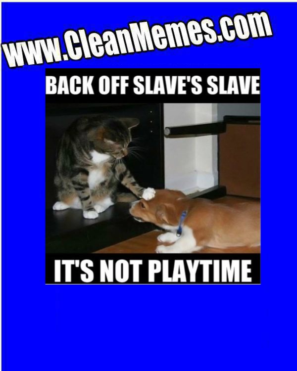 March 2024 – Clean Memes