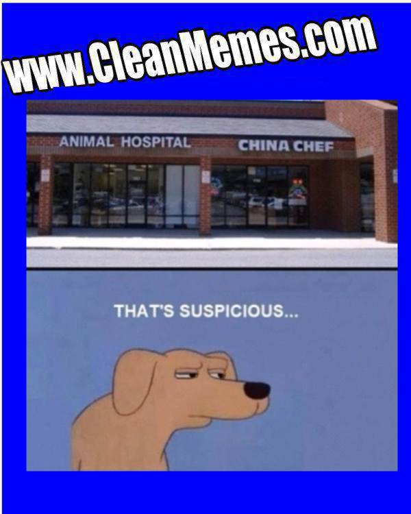 Fish Memes – Clean Memes