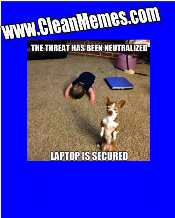 Secured Laptop – Clean Memes
