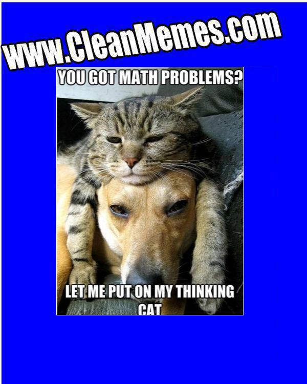 Thinking Cat – Clean Memes