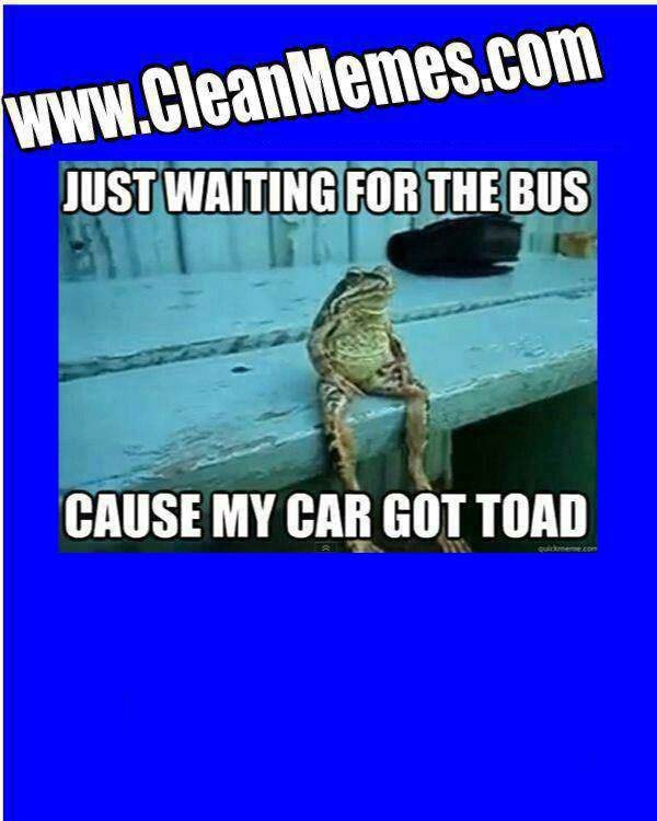 Animal meme drop 5-22-24 – Clean Memes