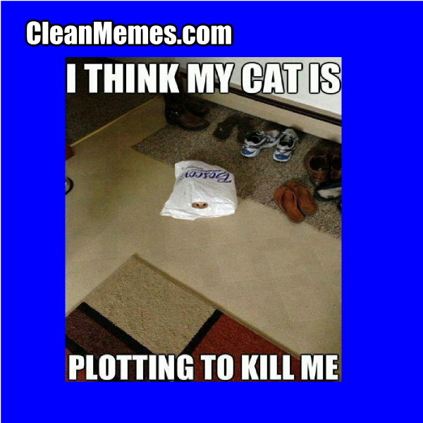 Stalker Cat Memes Stalker | Page 2 | PCSPECIALIST