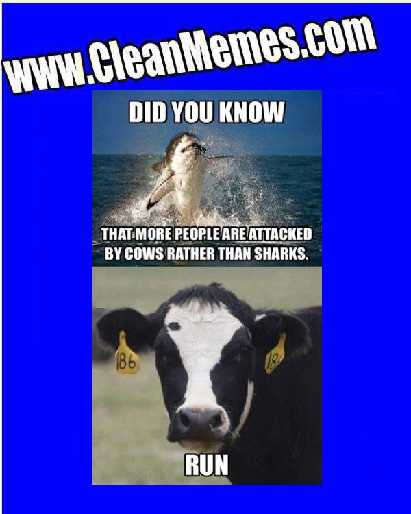 saved – Clean Memes