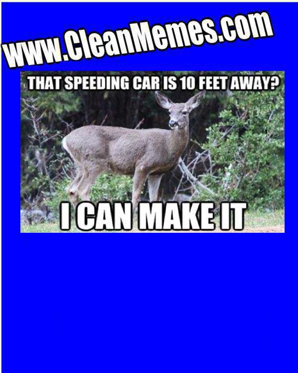 Cat meme drop 4-27-24 – Clean Memes