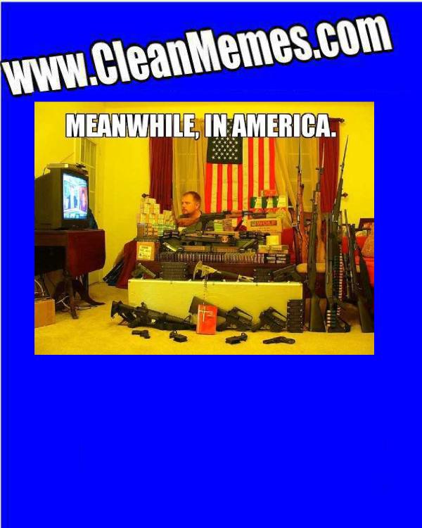 Cleaning Gun Memes