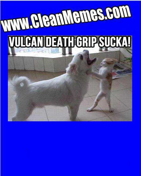 Bat Memes – Clean Memes