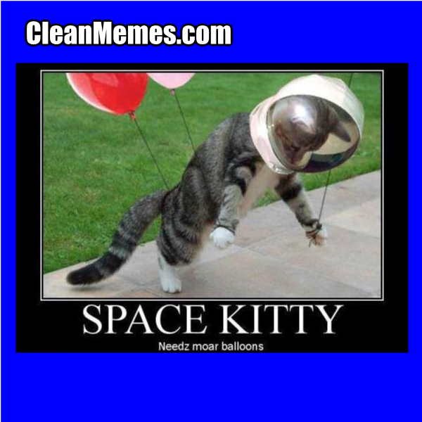 Space Kitty Memes Cat In Space Meme Merch & Gifts For Sale | Redbubble