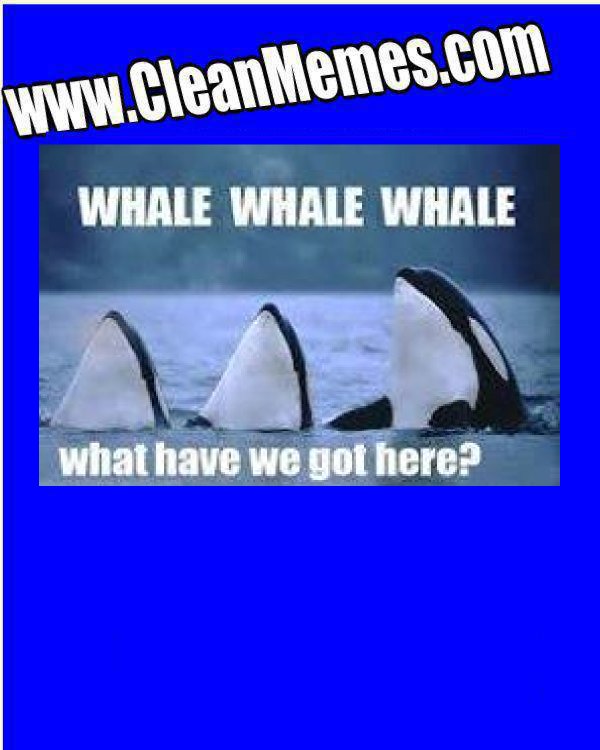 Whale Whale Whale – Clean Memes