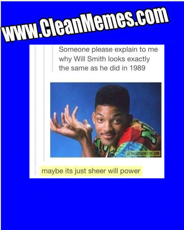 Cat meme drop 4-23-24 – Clean Memes