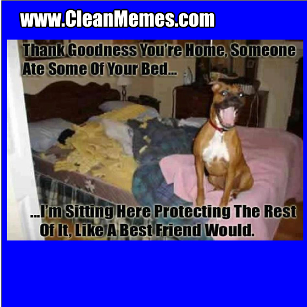 Double Bed Memes