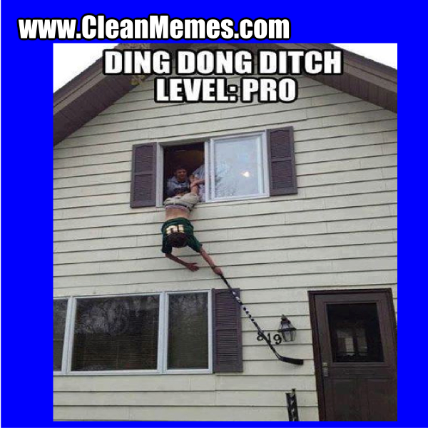 Ditch Memes Senior Ditch Dat Meme – The King's Page
