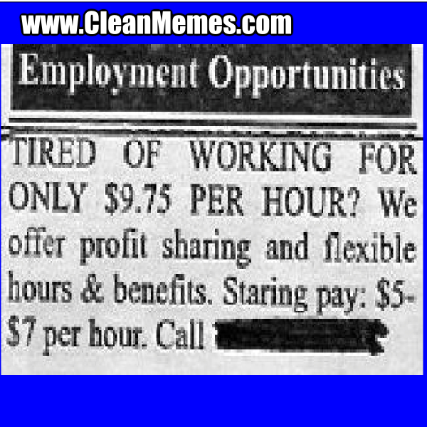 Employment Opportunities – Clean Memes