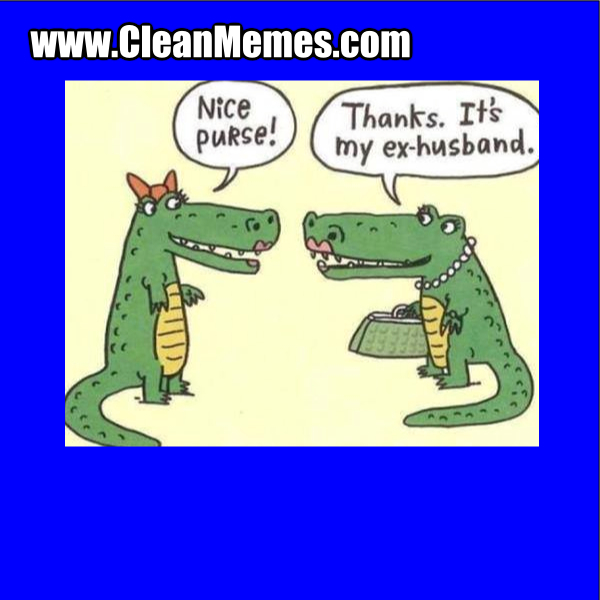 Funny Purse Memes