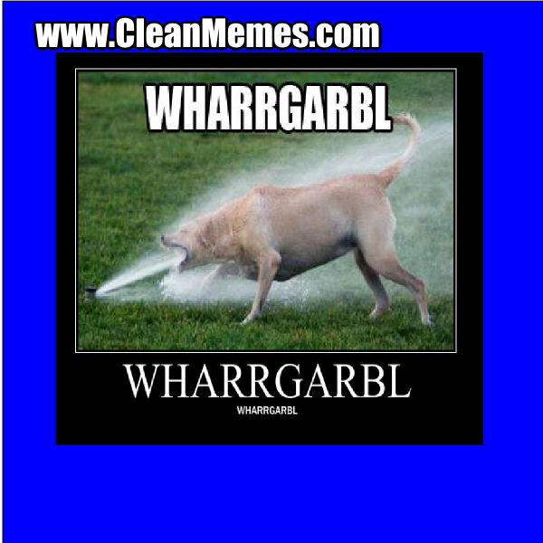 Pun drop 4-29-24 – Clean Memes