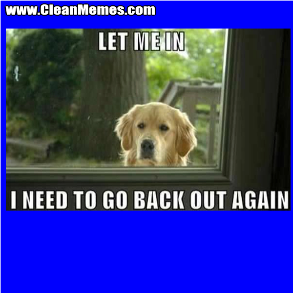 Clean Memes – Page 57 – The best and most clean memes online.