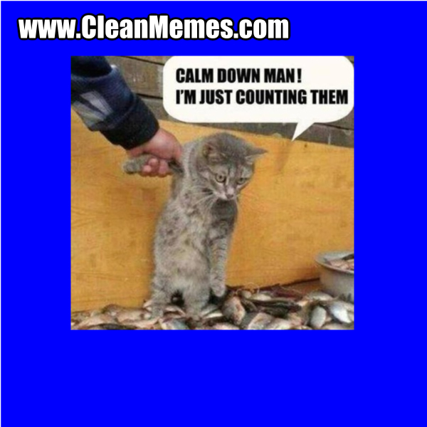 Just Counting – Clean Memes