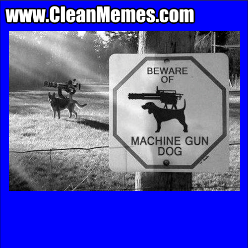 Sniper Dog Memes This Dog Sleeps With A Gun ! Imgflip