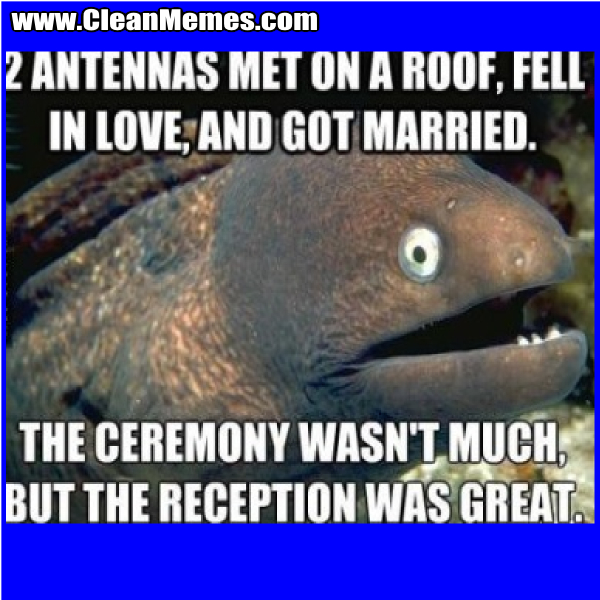 Pun drop 6-20-24 – Clean Memes