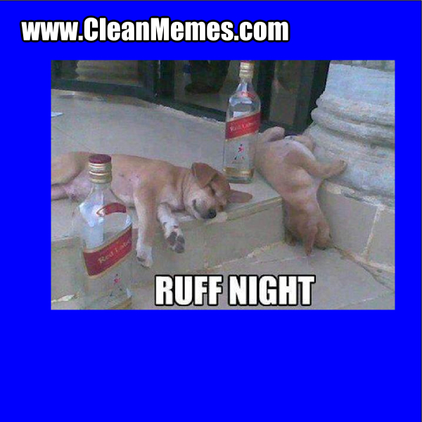 Bros Night Memes