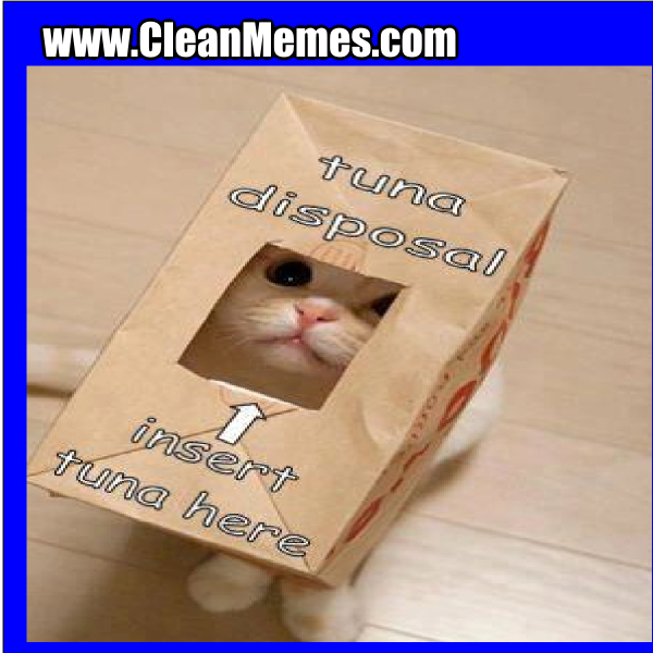 Tuna Cat Memes