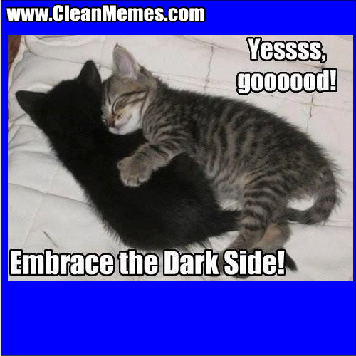 Evil Squirrel Memes 83 Dark Humor Memes Featuring Adorable Raccoon