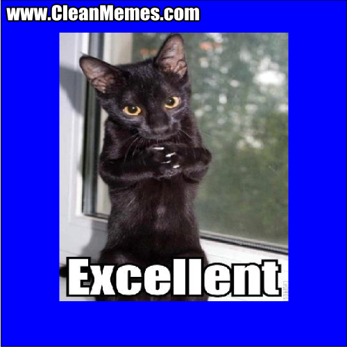 Excellent Cat – Clean Memes