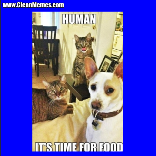 Dinner Time Memes