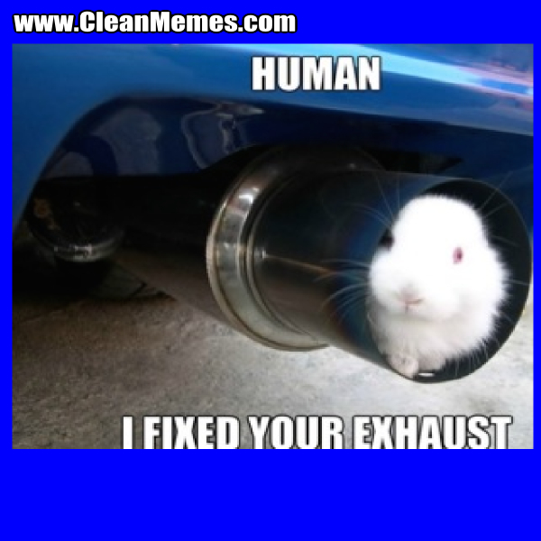 Car Exhaust Memes My New Car Meme By Dogggggggggggggggggg :)