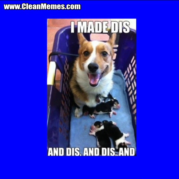 I Made Dis – Clean Memes