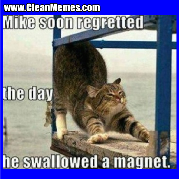 Magnet Memes The Best Magnets Memes :) Memedroid