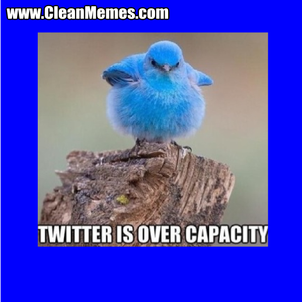 Twitter Is Over Capacity – Clean Memes