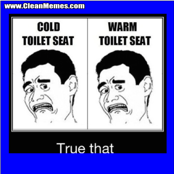Cold Toilet Memes I Hate When The Toilet Seat Is Cold Asf ☠ #meme