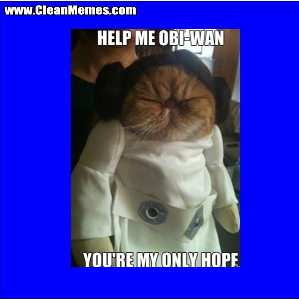 Last Hope Memes