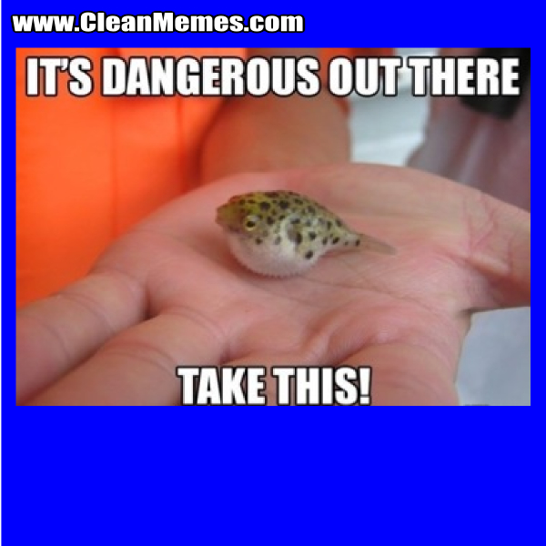 Funny Dangerous Memes Eddie The Ducky | It's Very Dangerous