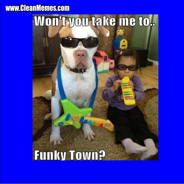 Funkytown Meme Won't You Take Me To Funkytown! Won't You Take Me To
