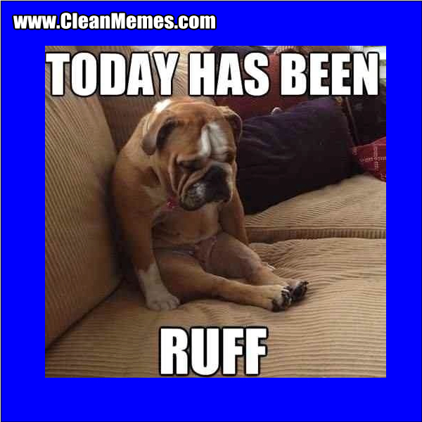 Ruff Day Memes