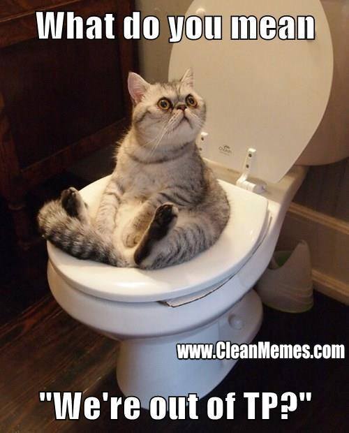 Best Memes 2014 Best Memes 2014 Funny Pictures, Gifs