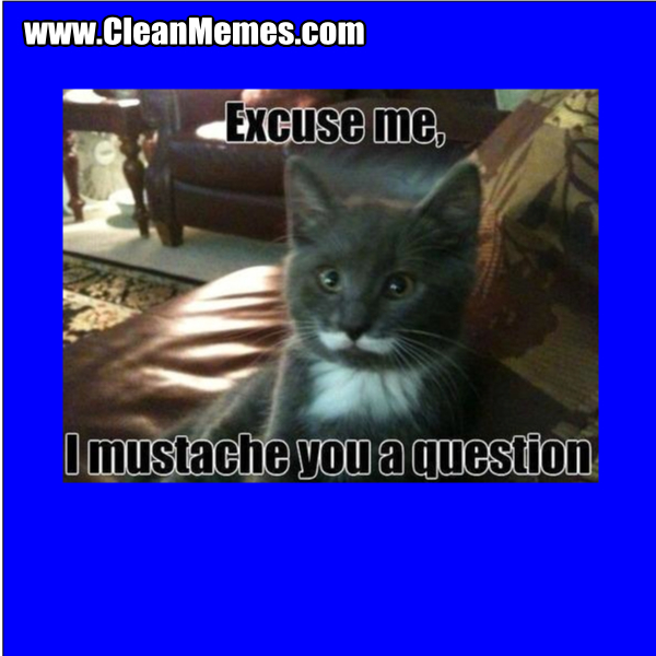 Excuse You Meme Excuses Excuses Meme By Bblub :) Memedroid