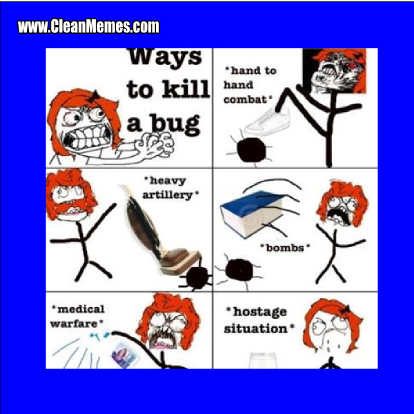Ways To Kill A Bug – Clean Memes