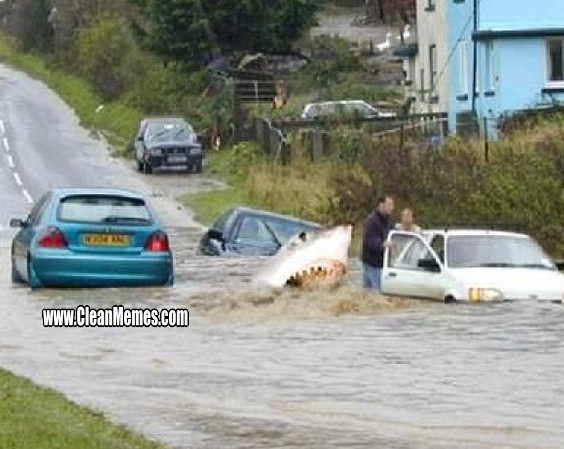 Funny Flooding Memes Memebase Flooding All Your Memes In Our Base