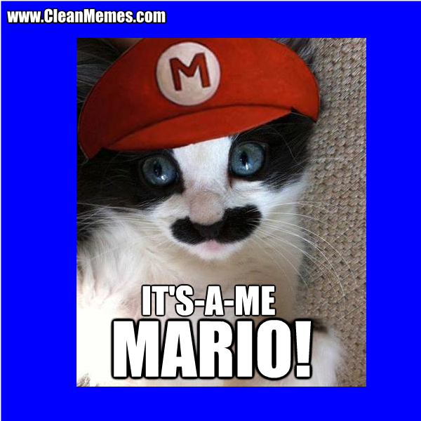 Mario Cat – Clean Memes