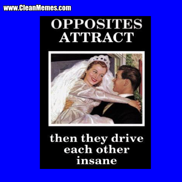 Drive Each Other Insane – Clean Memes