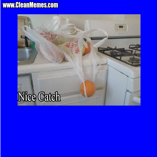 Nice Catch – Clean Memes