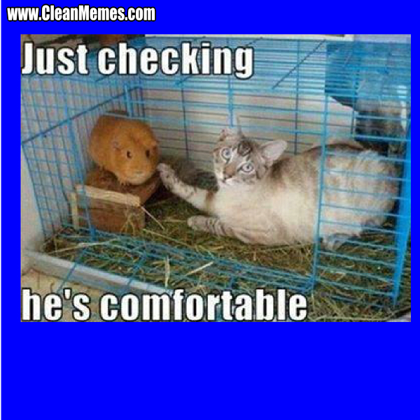 Just Checking – Clean Memes